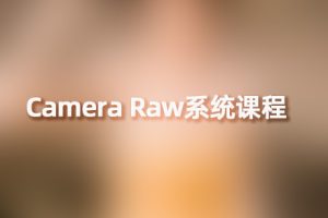 PR/FCPX模板-PR婚礼快剪FCPX模版30秒复古唯美效果转场光效字幕边框预告MV素材 JJ26 – 两只山羊后期加油站