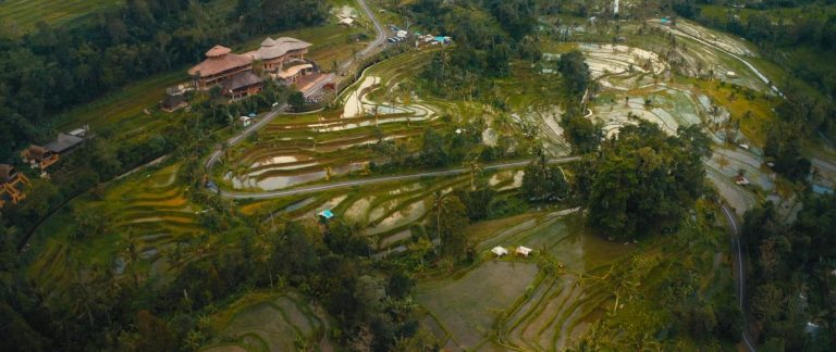 Nomadic George 模拟经典柯达 2383好莱坞电影胶片仿真达芬奇调色节点 Kodak 2383 Cinematic PowerGrade – 两只山羊后期加油站