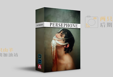 LR/PS预设-25款人像忧郁色调LR预设合集Cvatik Persephone Preset Collection – 两只山羊后期加油站