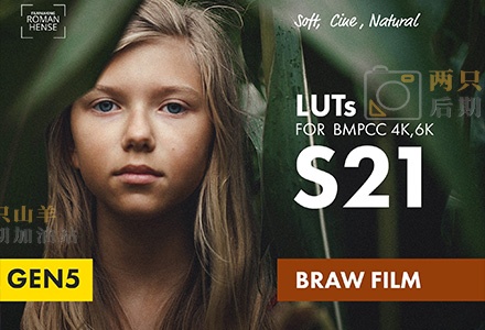 LUT预设–全网最好用的网红青橙色电影感LUT调色预设 Luts Pack S21 FILM BRAW BMPCC 4K Gen5 – 两只山羊后期加油站
