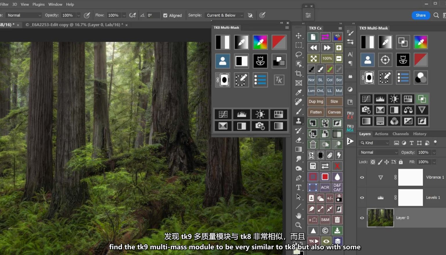 TK9教程-TK9亮度蒙版教程 TK9插件完整指南视频教程-中英字幕 – 两只山羊后期加油站