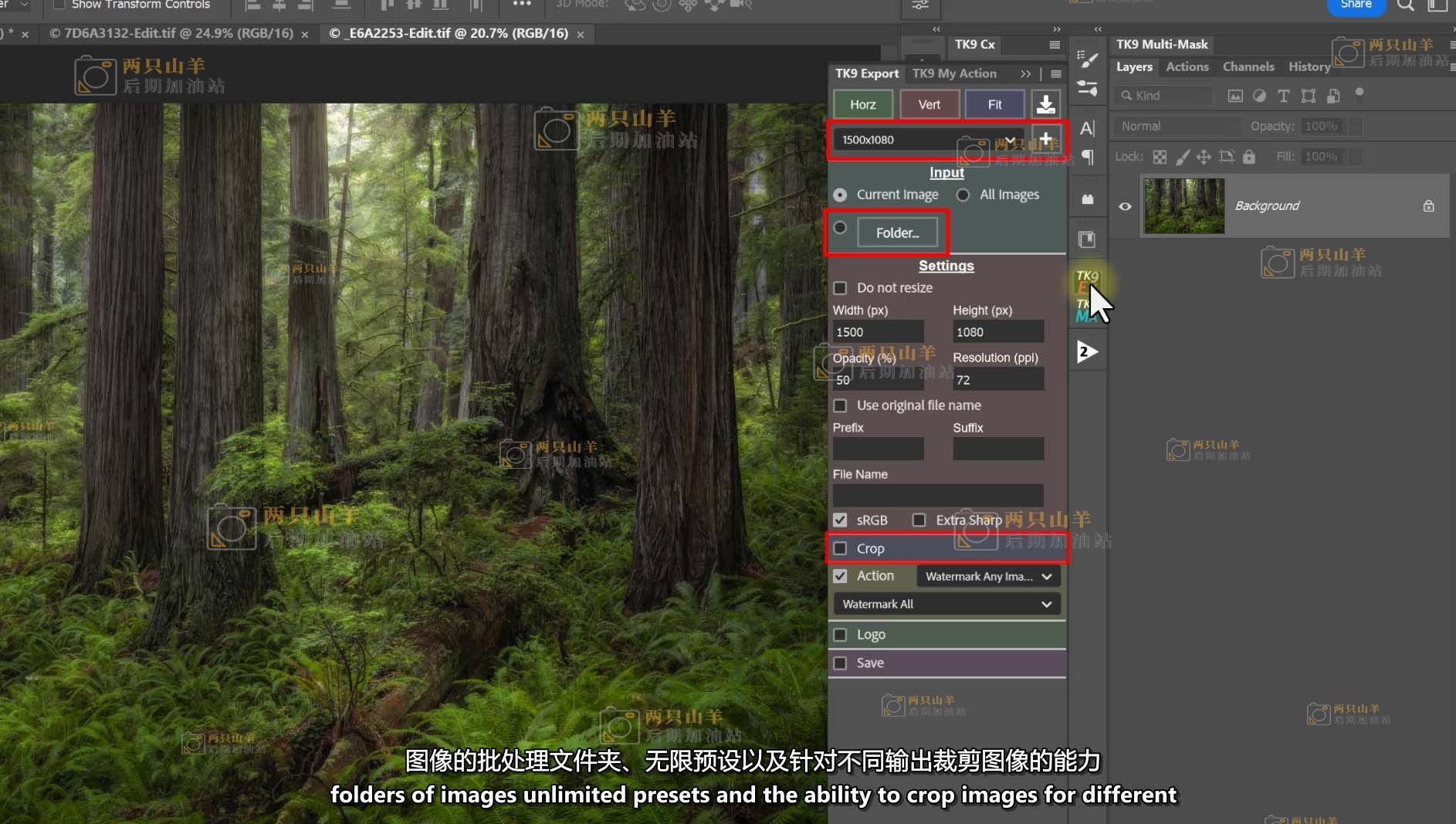 TK9教程-TK9亮度蒙版教程 TK9插件完整指南视频教程-中英字幕 – 两只山羊后期加油站