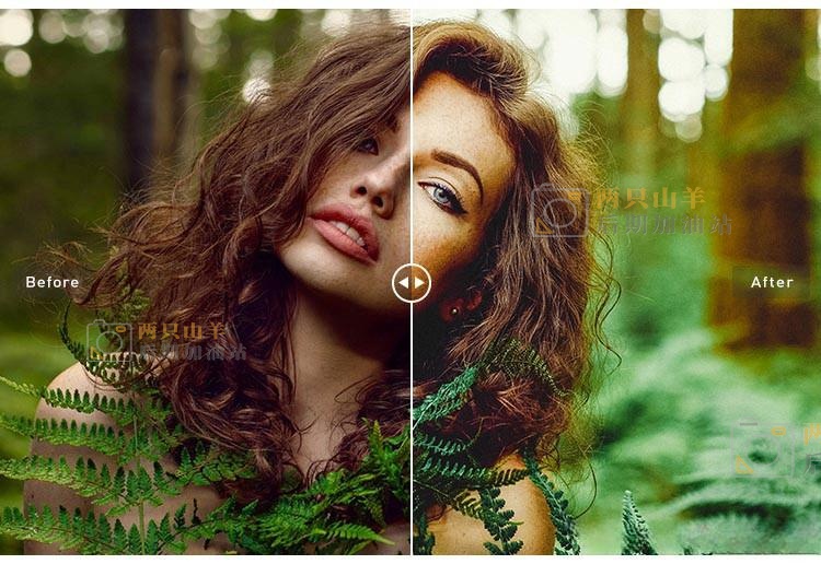 LR/PS/LUT预设-23款森系人像文艺小清新色调预设PR/PS/FCPX/AE/达芬奇/剪映LUT预设 – 两只山羊后期加油站