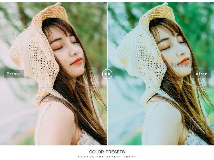 LR/PS/LUT预设-23款森系人像文艺小清新色调预设PR/PS/FCPX/AE/达芬奇/剪映LUT预设 – 两只山羊后期加油站