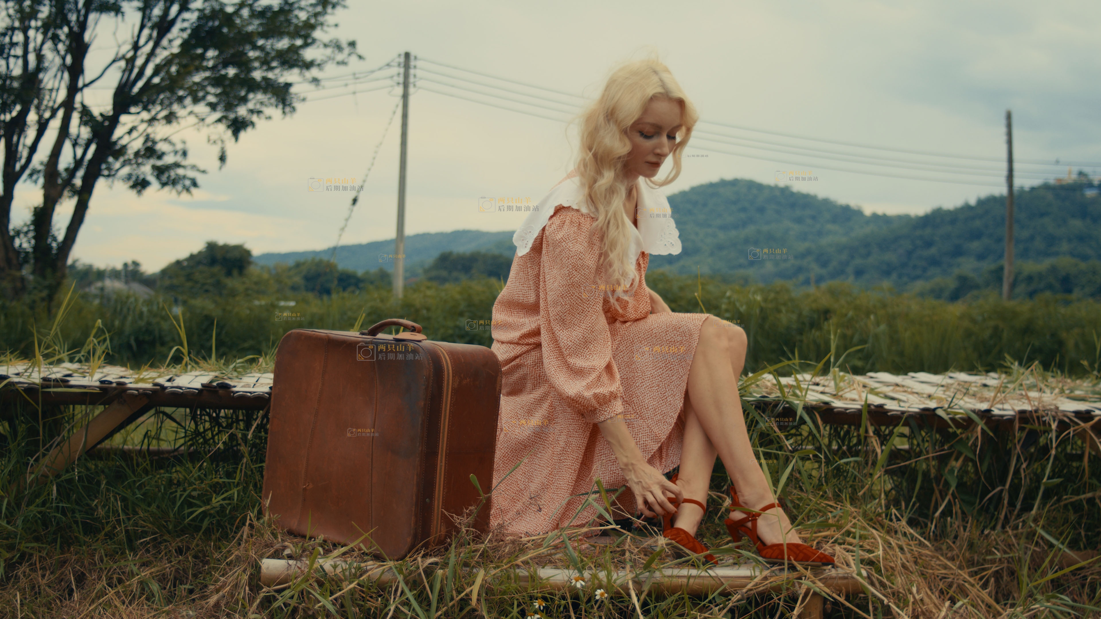 LUT预设-Nomadic George柯达2383电影胶片模拟色彩美学调色lut预设包 K83 Kodak 2383 Inspired Cinematic LUTs – 两只山羊后期加油站