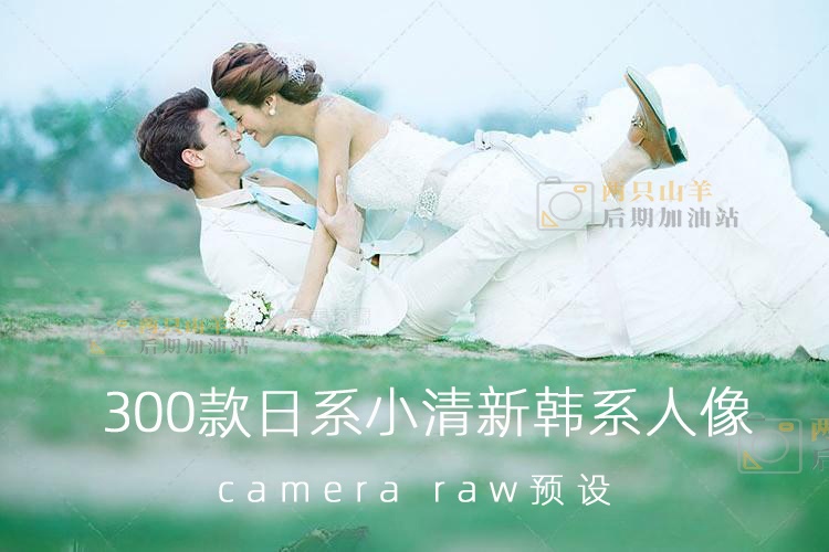 LR/PS预设-300款日系小清新韩系人像ACR预设-camera raw预设 – 两只山羊后期加油站