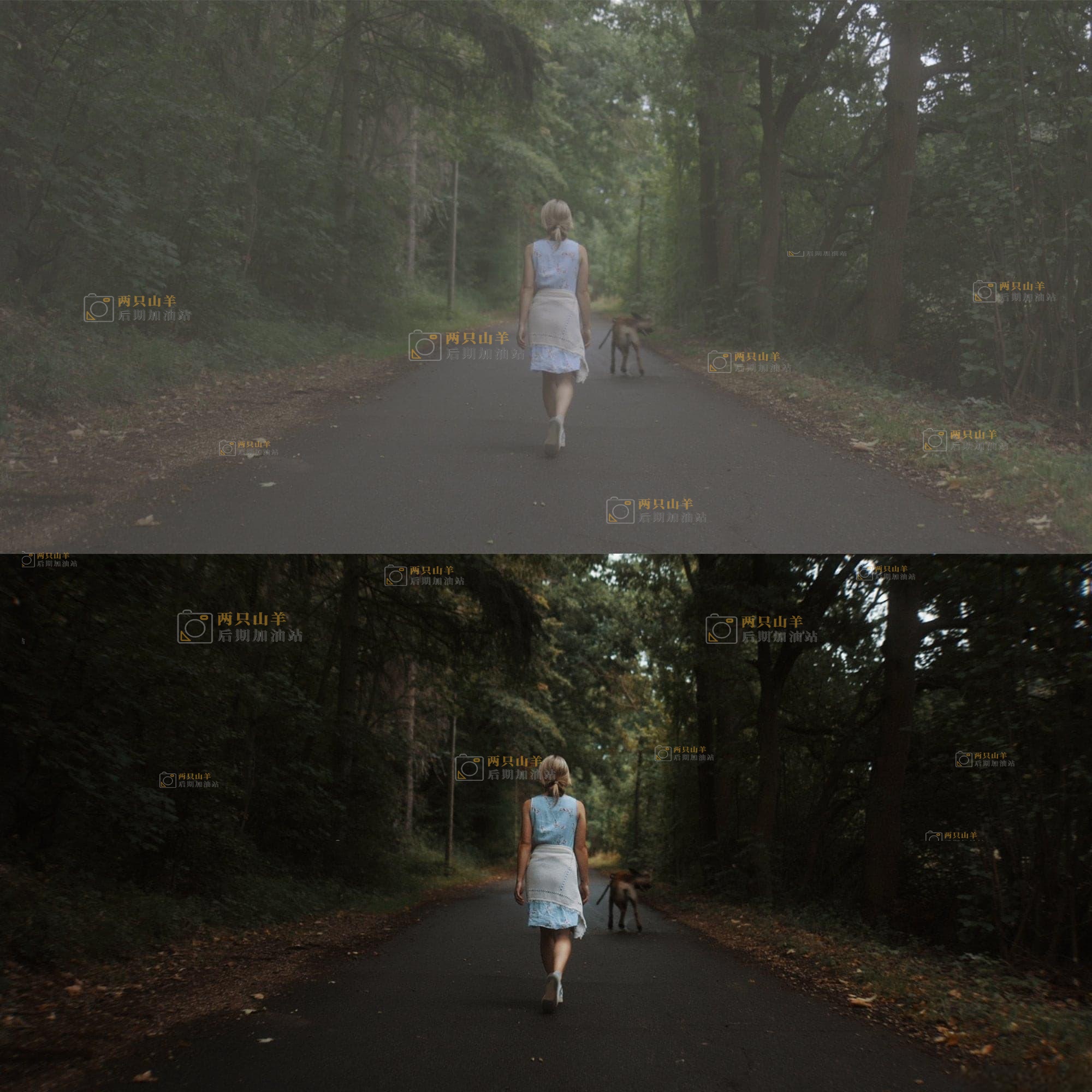 LUT预设–佳能R5/R6色彩还原LUT预设 Christian Mate Grab -Canon R5/R6 Cinematic LUTs – 两只山羊后期加油站