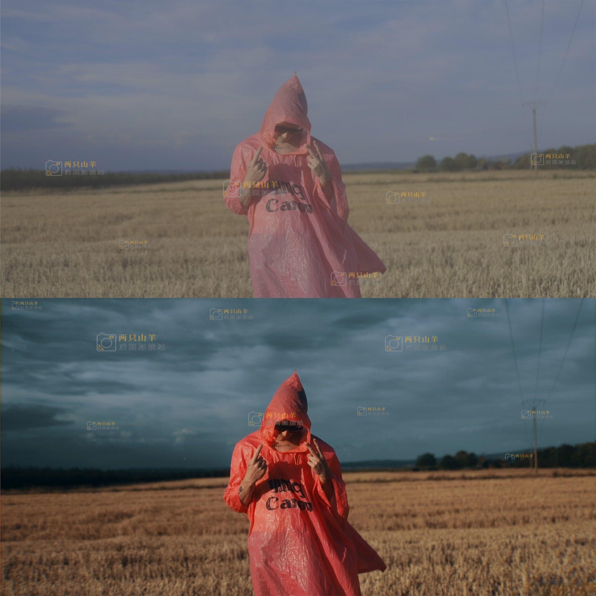 LUT预设–佳能R5/R6色彩还原LUT预设 Christian Mate Grab -Canon R5/R6 Cinematic LUTs – 两只山羊后期加油站