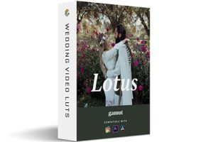 素材-780G达芬奇练习4k灰片素材log格式 剪辑调色练习必备！ – 两只山羊后期加油站