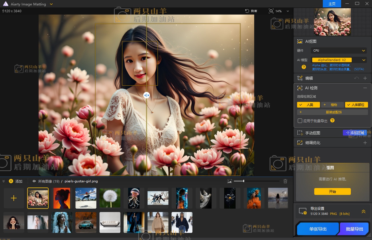软件-AI人工智能一键抠图软件Aiarty Image Matting v2.1 中文版 – 两只山羊后期加油站
