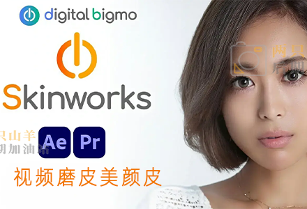 AE/PR中文插件-视频一键磨皮美颜皮肤美白修饰插件包 Digitalbigmo Skinworks 2024.11.00 Win CE – 两只山羊后期加油站