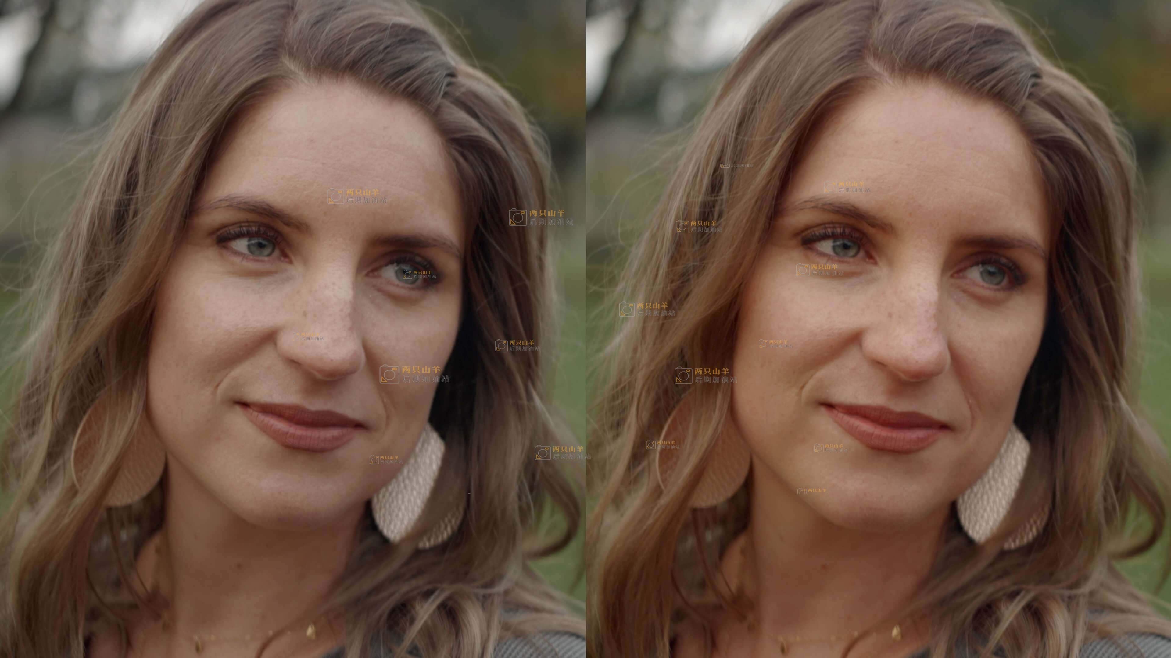 LUT预设-索尼Sony S-Log3色彩还原色彩分级完整版LUT调色预设 Sony S-Log3 Pike LUT Pack–DSLR – 两只山羊后期加油站