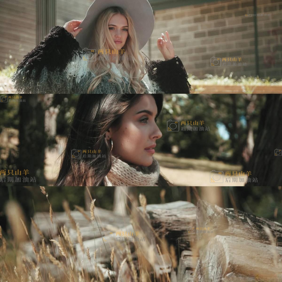 LUT预设-大疆Mavic 3 Pro 无人机电影级LUT预设 DJI Mavic 3 Pro Cinematic LUTs – 两只山羊后期加油站